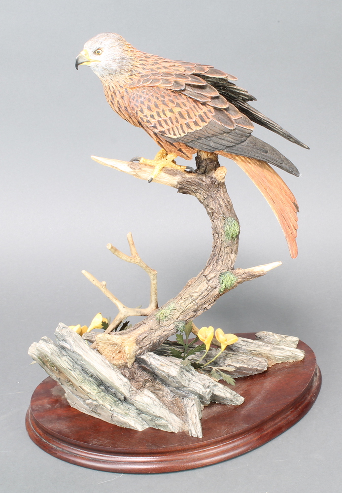 A Border Fine Arts figure - Red Kite B0794 309/600 by | 12th July 2017 ...