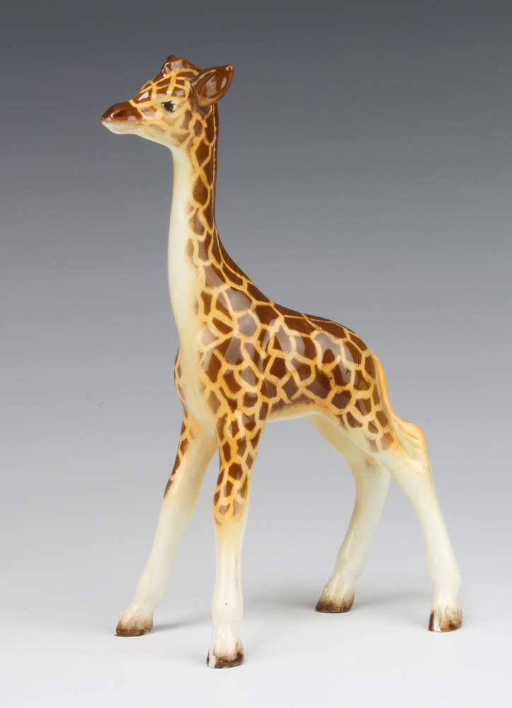 A Beswick figure of a giraffe, small 853, modelled | 12th August 2021 ...
