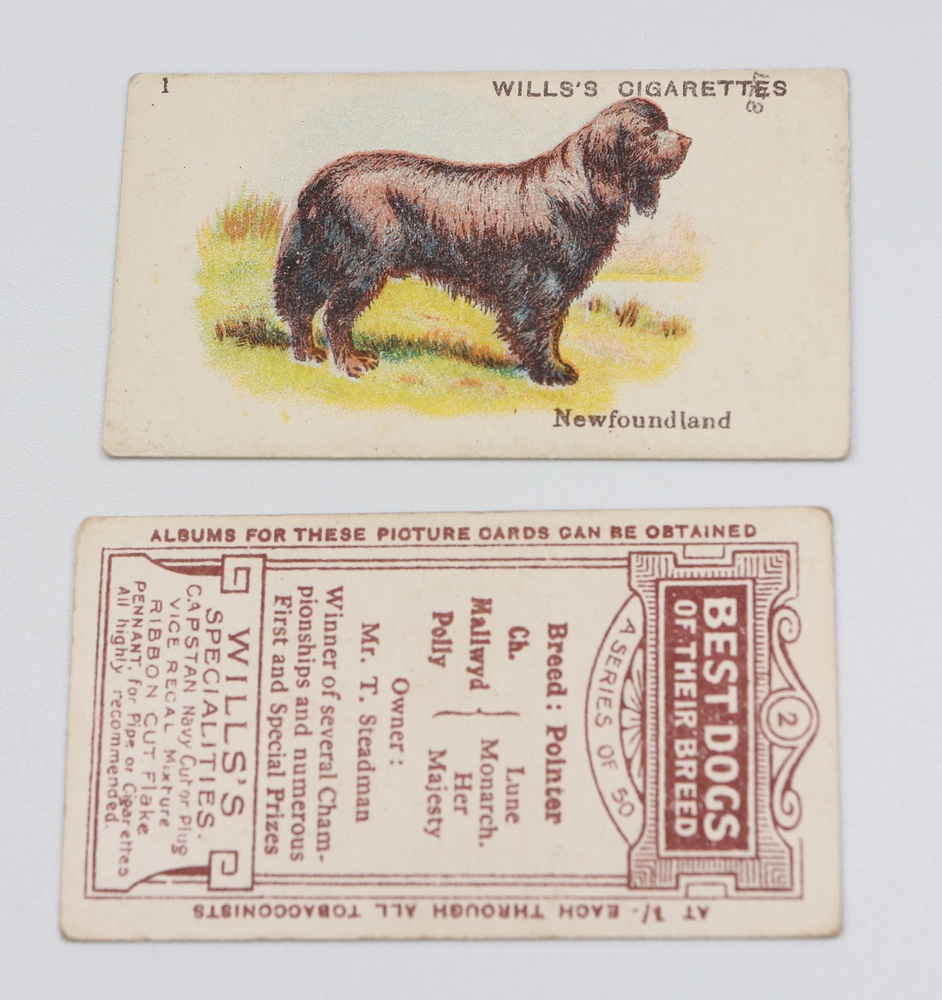 Wills overseas cigarette cards, Best Dogs of Their | 2nd October 2024 ...